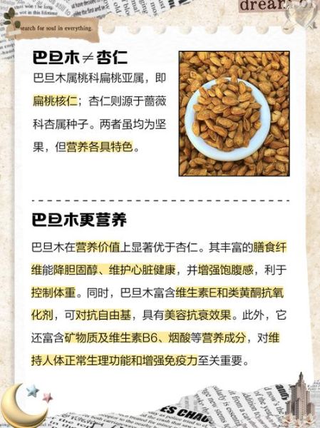 杏仁和巴旦木哪个营养价值高_区别与选择指南-第1张图片-山城妙识 杏仁和巴旦木哪个营养价值高_区别与选择指南-第1张图片-山城妙识