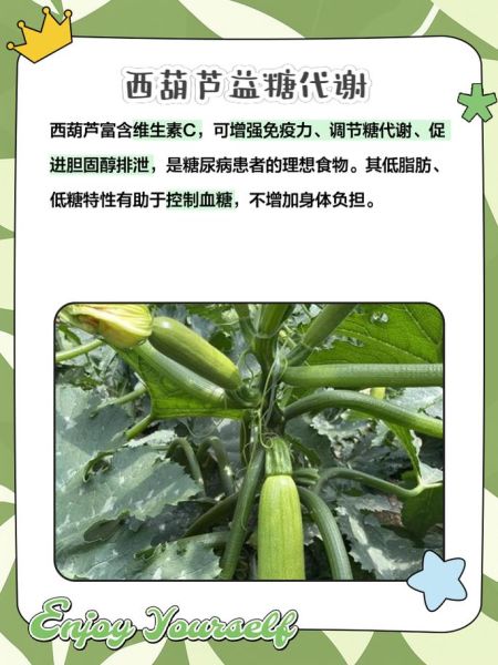 西葫芦瓜图片_如何挑选新鲜西葫芦-第3张图片-山城妙识 西葫芦瓜图片_如何挑选新鲜西葫芦-第3张图片-山城妙识