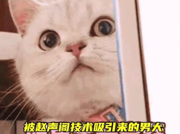醋醋配音怎么赚钱_醋醋配音真实收入揭秘-第2张图片-山城妙识 醋醋配音怎么赚钱_醋醋配音真实收入揭秘-第2张图片-山城妙识