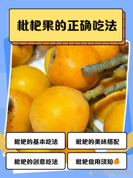 枇杷果可以直接吃吗_枇杷果怎么吃才安全-第1张图片-山城妙识 枇杷果可以直接吃吗_枇杷果怎么吃才安全-第1张图片-山城妙识