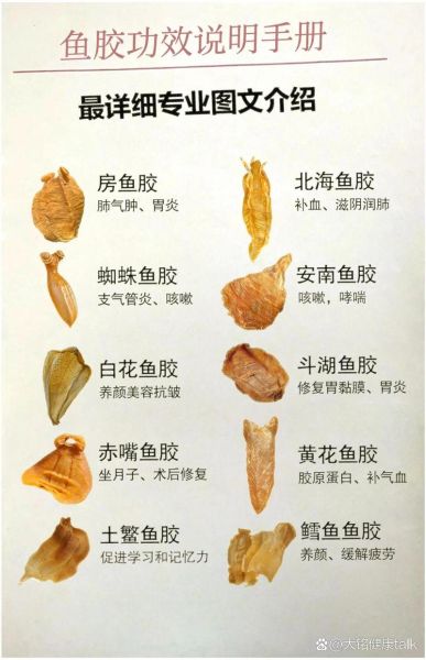 鱼胶怎么吃效果最好_鱼胶最佳食用方法-第3张图片-山城妙识 鱼胶怎么吃效果最好_鱼胶最佳食用方法-第3张图片-山城妙识