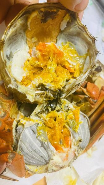 阳澄湖大闸蟹怎么买_正宗阳澄湖大闸蟹购买渠道-第1张图片-山城妙识 阳澄湖大闸蟹怎么买_正宗阳澄湖大闸蟹购买渠道-第1张图片-山城妙识