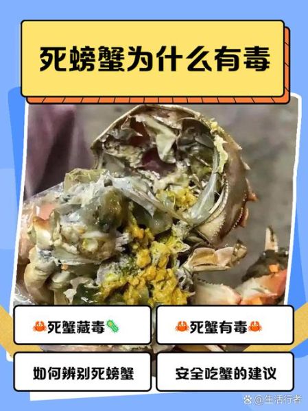 螃蟹放了一晚上死了能吃么_死蟹中毒风险-第1张图片-山城妙识 螃蟹放了一晚上死了能吃么_死蟹中毒风险-第1张图片-山城妙识
