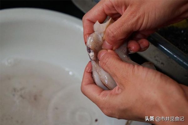 鱿鱼怎么处理_鱿鱼清洗视频教程-第2张图片-山城妙识 鱿鱼怎么处理_鱿鱼清洗视频教程-第2张图片-山城妙识