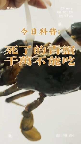 螃蟹放了一晚上死了能吃么_死蟹中毒风险-第2张图片-山城妙识 螃蟹放了一晚上死了能吃么_死蟹中毒风险-第2张图片-山城妙识