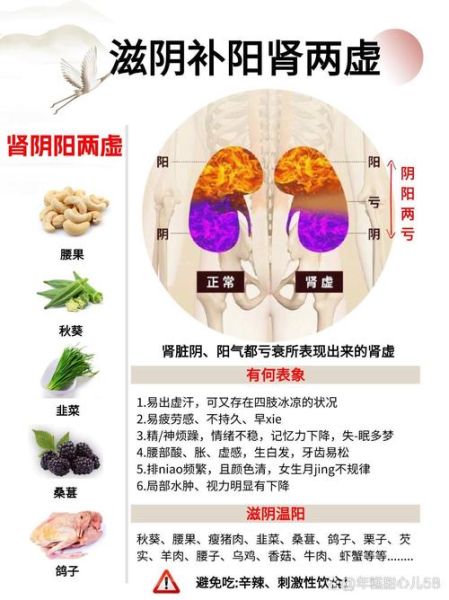 补肾的方法有哪些_肾虚怎么调理最有效-第3张图片-山城妙识 补肾的方法有哪些_肾虚怎么调理最有效-第3张图片-山城妙识