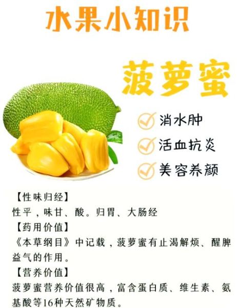 菠萝蜜不能和什么一起吃_哪些人不能吃菠萝蜜-第1张图片-山城妙识 菠萝蜜不能和什么一起吃_哪些人不能吃菠萝蜜-第1张图片-山城妙识