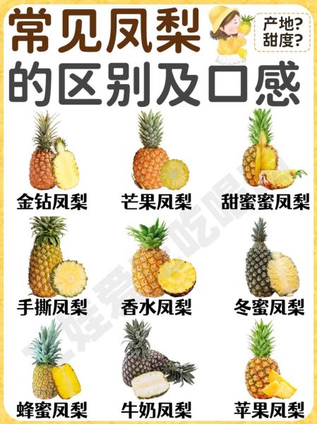 菲律宾菠萝是凤梨吗_凤梨和菠萝区别-第2张图片-山城妙识 菲律宾菠萝是凤梨吗_凤梨和菠萝区别-第2张图片-山城妙识