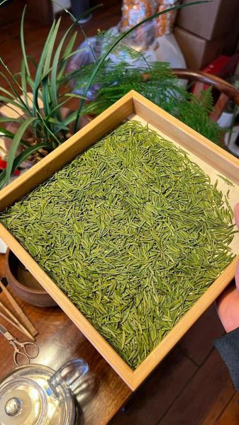 竹叶青茶价格多少钱一斤_竹叶青茶怎么泡才正确-第3张图片-山城妙识 竹叶青茶价格多少钱一斤_竹叶青茶怎么泡才正确-第3张图片-山城妙识