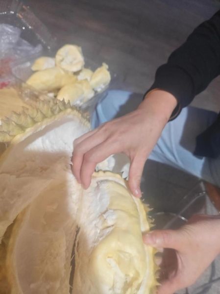 在家吃榴莲图片真实_榴莲怎么开不脏手-第1张图片-山城妙识 在家吃榴莲图片真实_榴莲怎么开不脏手-第1张图片-山城妙识