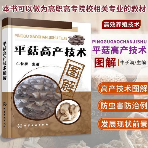 平菇栽培技术_平菇怎么种高产-第1张图片-山城妙识 平菇栽培技术_平菇怎么种高产-第1张图片-山城妙识