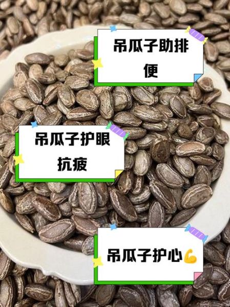 吊瓜子功效与作用有哪些_吊瓜子禁忌人群-第1张图片-山城妙识 吊瓜子功效与作用有哪些_吊瓜子禁忌人群-第1张图片-山城妙识
