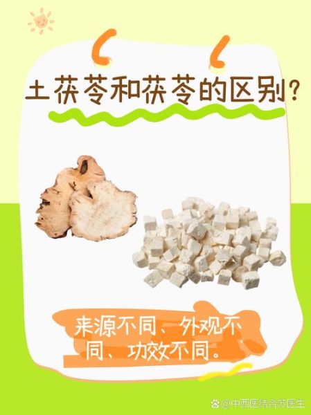 土茯苓和茯苓的区别_土茯苓和茯苓的功效一样吗-第3张图片-山城妙识 土茯苓和茯苓的区别_土茯苓和茯苓的功效一样吗-第3张图片-山城妙识