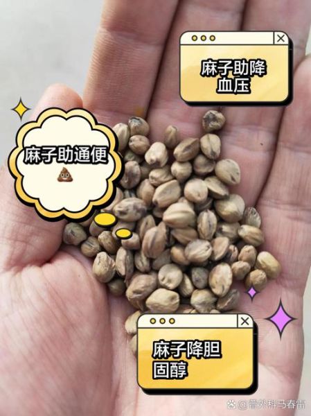 麻子是什么_麻子怎么去除-第3张图片-山城妙识 麻子是什么_麻子怎么去除-第3张图片-山城妙识