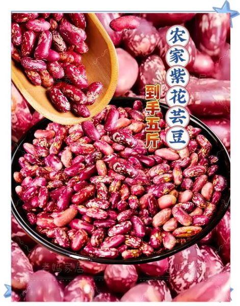 黑花芸豆的功效与作用_黑芸豆怎么吃最养肾-第3张图片-山城妙识 黑花芸豆的功效与作用_黑芸豆怎么吃最养肾-第3张图片-山城妙识