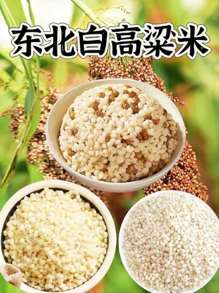 高粱米和什么米搭配好_高粱米最佳搭配米种推荐-第2张图片-山城妙识 高粱米和什么米搭配好_高粱米最佳搭配米种推荐-第2张图片-山城妙识