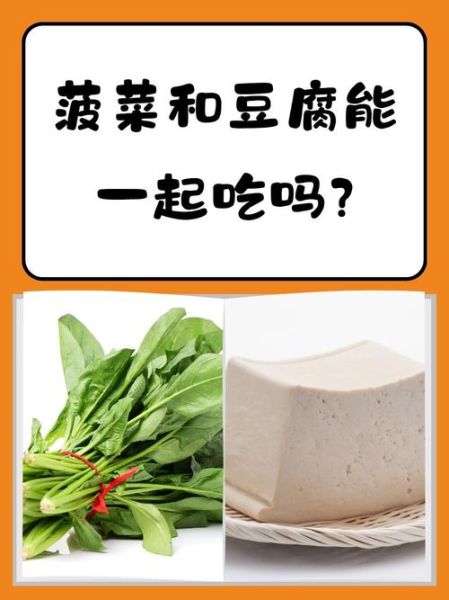 菠菜能和豆腐一起吃吗_菠菜豆腐相克真相-第1张图片-山城妙识 菠菜能和豆腐一起吃吗_菠菜豆腐相克真相-第1张图片-山城妙识
