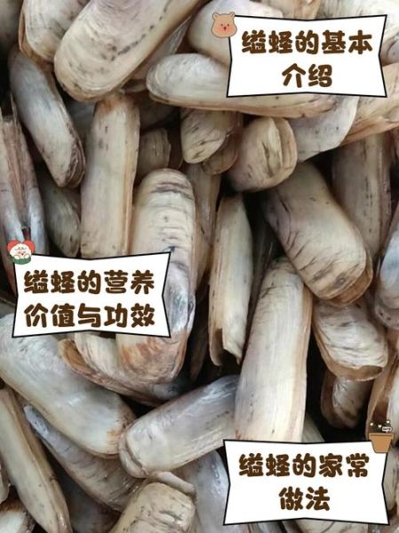 蛏子的鼻子能单独活吗_蛏子鼻子断了还能长出来吗-第1张图片-山城妙识 蛏子的鼻子能单独活吗_蛏子鼻子断了还能长出来吗-第1张图片-山城妙识
