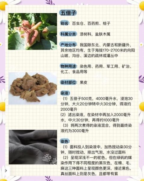 五倍子功效与作用_五倍子禁忌有哪些-第1张图片-山城妙识 五倍子功效与作用_五倍子禁忌有哪些-第1张图片-山城妙识