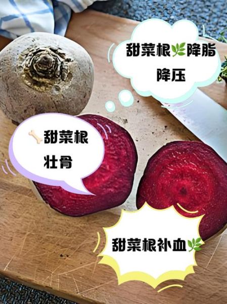 红甜菜根的功效与作用_红甜菜根怎么吃最好-第2张图片-山城妙识 红甜菜根的功效与作用_红甜菜根怎么吃最好-第2张图片-山城妙识