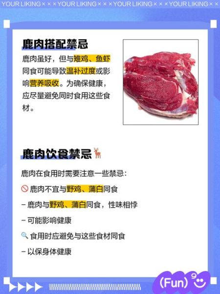 鹿肉的功效与作用禁忌_什么人不能吃鹿肉-第1张图片-山城妙识 鹿肉的功效与作用禁忌_什么人不能吃鹿肉-第1张图片-山城妙识