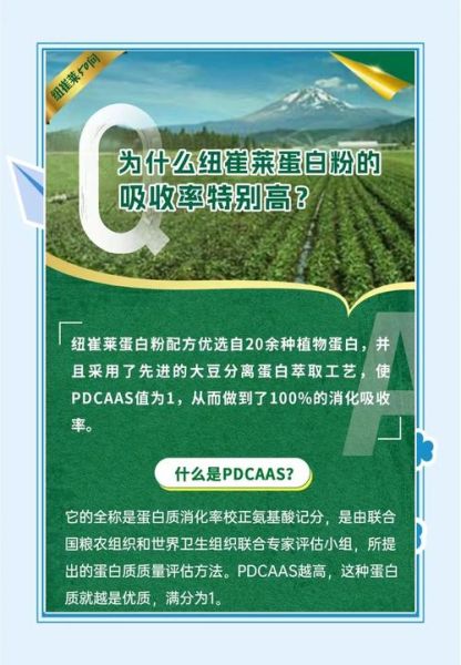 蛋白质粉什么时候吃最好_怎么吃吸收率最高-第2张图片-山城妙识 蛋白质粉什么时候吃最好_怎么吃吸收率最高-第2张图片-山城妙识