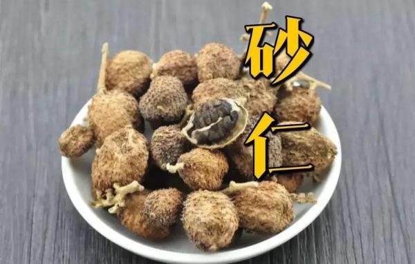 草果别名有哪些_草果与砂仁区别-第1张图片-山城妙识 草果别名有哪些_草果与砂仁区别-第1张图片-山城妙识