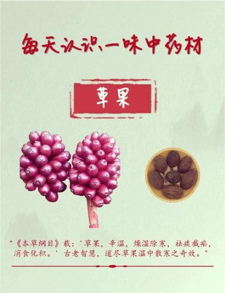 草果别名有哪些_草果与砂仁区别-第3张图片-山城妙识 草果别名有哪些_草果与砂仁区别-第3张图片-山城妙识