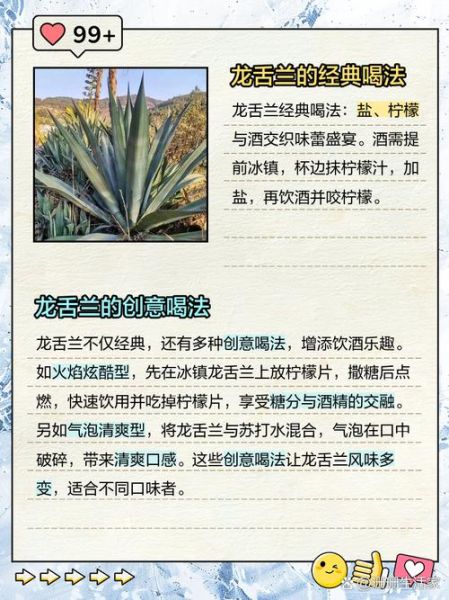 龙舌兰为什么是穷人喝的酒_龙舌兰便宜吗-第3张图片-山城妙识 龙舌兰为什么是穷人喝的酒_龙舌兰便宜吗-第3张图片-山城妙识