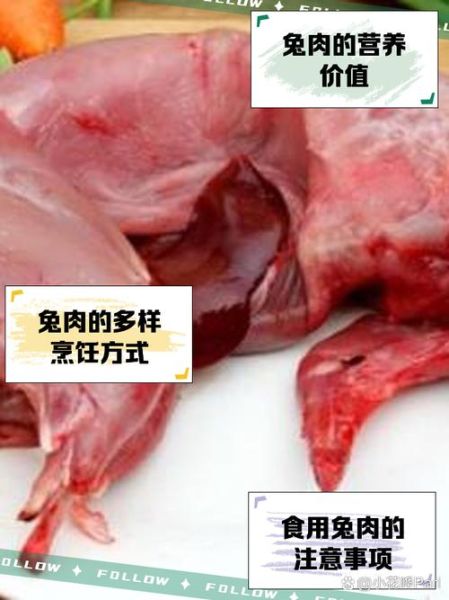 为什么吃兔肉的人少_兔肉为什么不受欢迎-第2张图片-山城妙识 为什么吃兔肉的人少_兔肉为什么不受欢迎-第2张图片-山城妙识