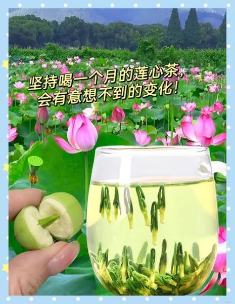 莲子心泡水喝的最佳搭配_莲子心和什么一起泡最好-第1张图片-山城妙识 莲子心泡水喝的最佳搭配_莲子心和什么一起泡最好-第1张图片-山城妙识