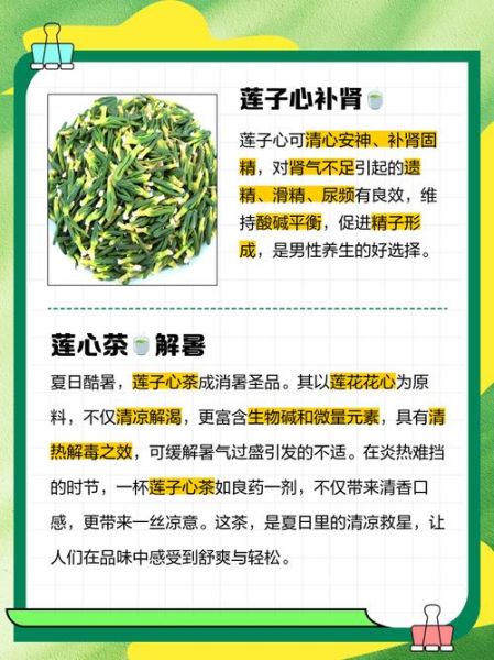 莲子心泡水喝的最佳搭配_莲子心和什么一起泡最好-第3张图片-山城妙识 莲子心泡水喝的最佳搭配_莲子心和什么一起泡最好-第3张图片-山城妙识