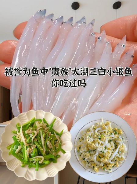 银鱼怎么做好吃_银鱼的营养价值-第1张图片-山城妙识 银鱼怎么做好吃_银鱼的营养价值-第1张图片-山城妙识