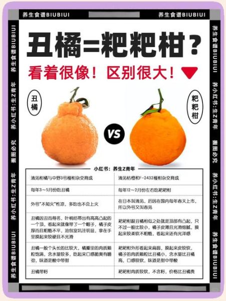 丑橘和粑粑柑的区别_丑橘怎么挑选才甜-第2张图片-山城妙识 丑橘和粑粑柑的区别_丑橘怎么挑选才甜-第2张图片-山城妙识