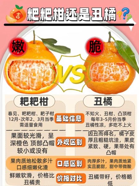 丑橘和粑粑柑的区别_丑橘怎么挑选才甜-第1张图片-山城妙识 丑橘和粑粑柑的区别_丑橘怎么挑选才甜-第1张图片-山城妙识