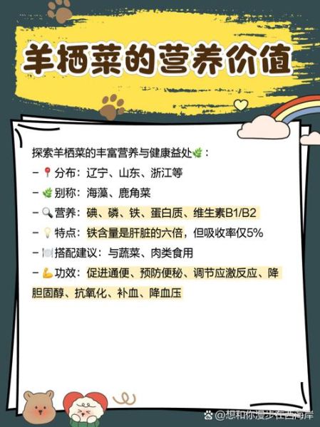 羊栖菜怎么读_羊栖菜的功效与作用-第1张图片-山城妙识 羊栖菜怎么读_羊栖菜的功效与作用-第1张图片-山城妙识