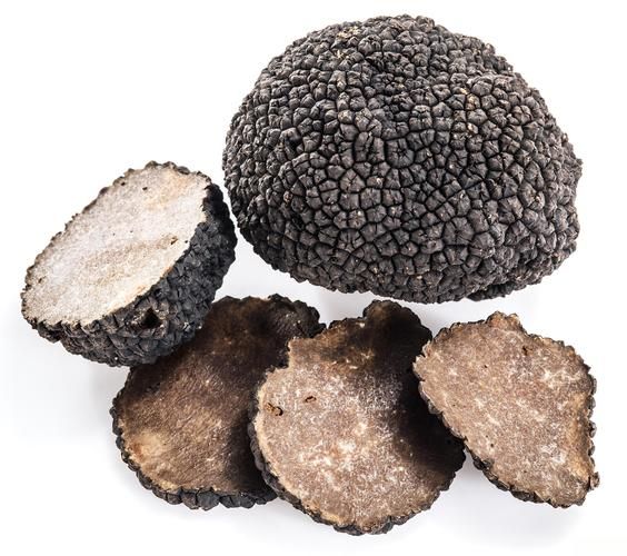 黑松露一次吃多少最好_黑松露食用量标准-第2张图片-山城妙识 黑松露一次吃多少最好_黑松露食用量标准-第2张图片-山城妙识