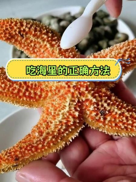 海星吃什么部位_海星哪些部位能吃-第2张图片-山城妙识 海星吃什么部位_海星哪些部位能吃-第2张图片-山城妙识