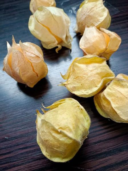菇茑果的功效与作用_菇茑果怎么吃最好-第1张图片-山城妙识