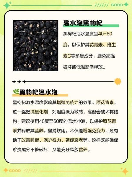 黑枸杞一次泡多少颗_黑枸杞泡水用量-第1张图片-山城妙识 黑枸杞一次泡多少颗_黑枸杞泡水用量-第1张图片-山城妙识