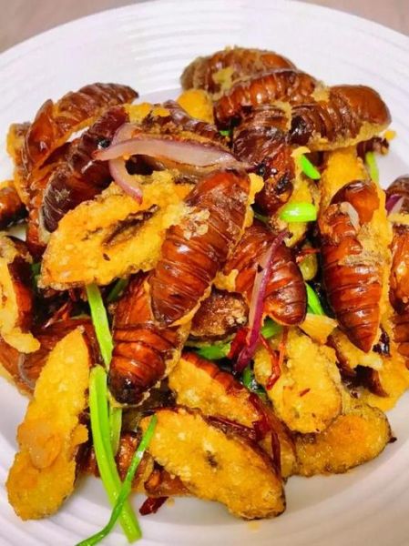干煸蚕蛹怎么做_蚕蛹怎么炒才酥脆-第2张图片-山城妙识