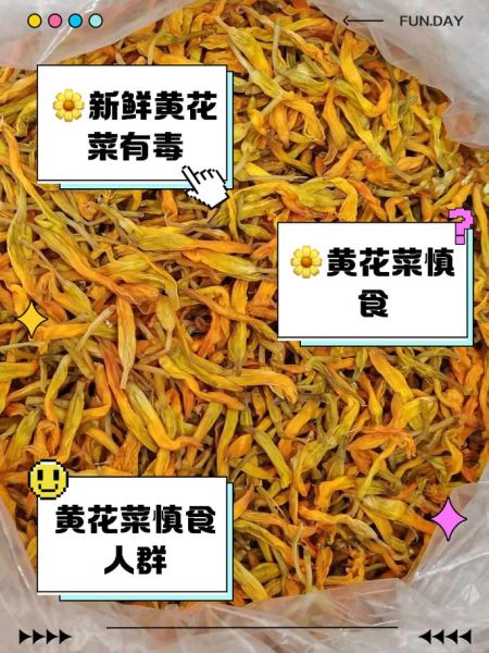 黄花菜是发物吗_哪些人不能吃黄花菜-第1张图片-山城妙识 黄花菜是发物吗_哪些人不能吃黄花菜-第1张图片-山城妙识