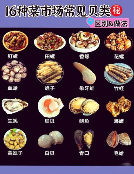 海鲜贝壳类有哪些_怎么挑选最新鲜-第1张图片-山城妙识 海鲜贝壳类有哪些_怎么挑选最新鲜-第1张图片-山城妙识