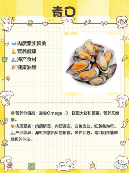 海鲜贝壳类有哪些_怎么挑选最新鲜-第3张图片-山城妙识 海鲜贝壳类有哪些_怎么挑选最新鲜-第3张图片-山城妙识