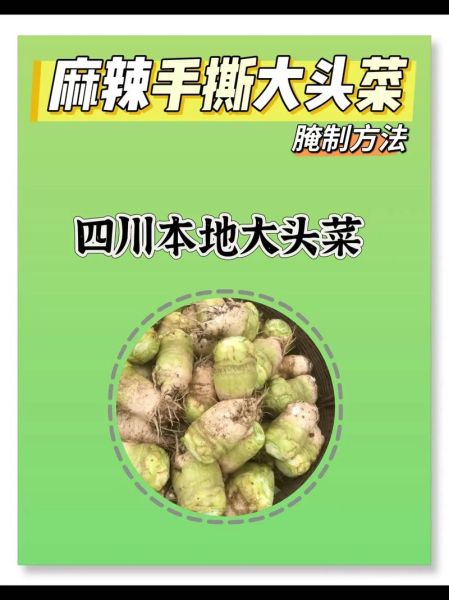 大头菜怎么腌制才脆_大头菜腌制多久才入味-第1张图片-山城妙识 大头菜怎么腌制才脆_大头菜腌制多久才入味-第1张图片-山城妙识