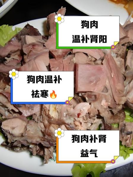黑狗肉的功效与作用_黑狗肉补肾吗-第2张图片-山城妙识 黑狗肉的功效与作用_黑狗肉补肾吗-第2张图片-山城妙识