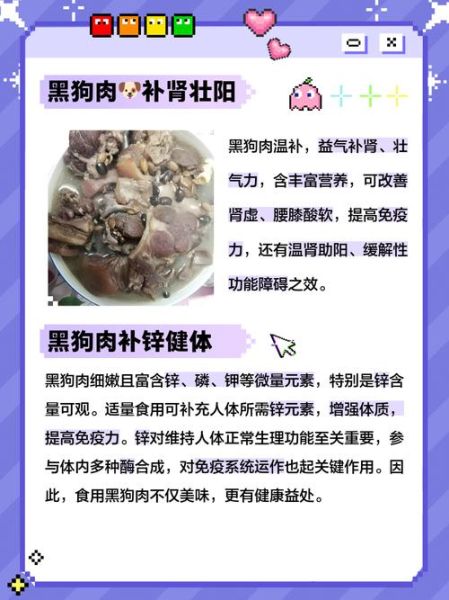 黑狗肉的功效与作用_黑狗肉补肾吗-第1张图片-山城妙识 黑狗肉的功效与作用_黑狗肉补肾吗-第1张图片-山城妙识