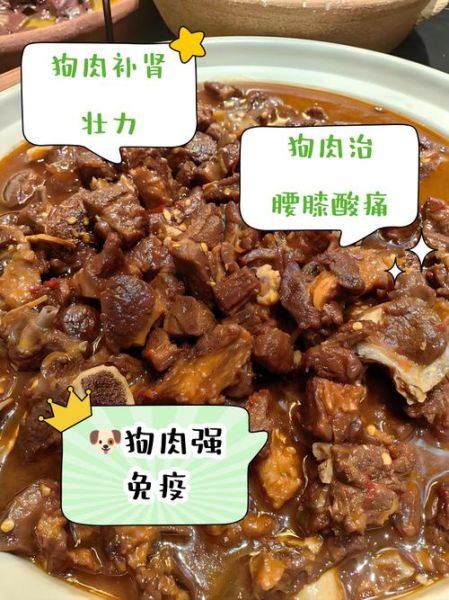 黑狗肉的功效与作用_黑狗肉补肾吗-第3张图片-山城妙识 黑狗肉的功效与作用_黑狗肉补肾吗-第3张图片-山城妙识