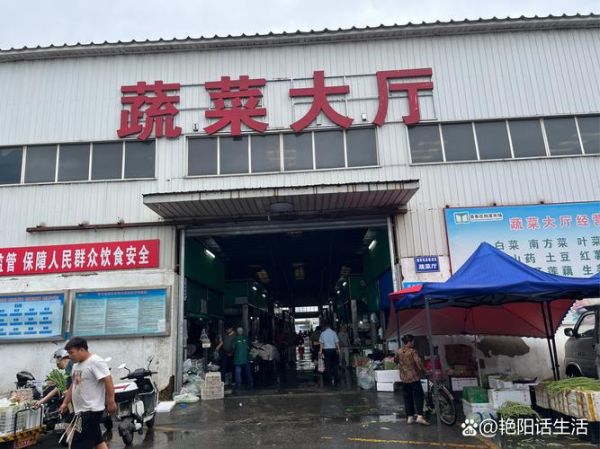 蔬菜批发平台怎么选_蔬菜批发平台哪个便宜-第2张图片-山城妙识 蔬菜批发平台怎么选_蔬菜批发平台哪个便宜-第2张图片-山城妙识