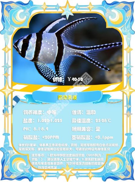 鲷鱼是什么鱼_鲷鱼种类有哪些-第1张图片-山城妙识 鲷鱼是什么鱼_鲷鱼种类有哪些-第1张图片-山城妙识